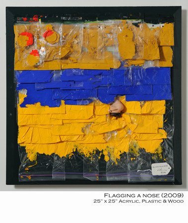 Flags and the Familiar | The Art Work of David Borenstein - Architect ...